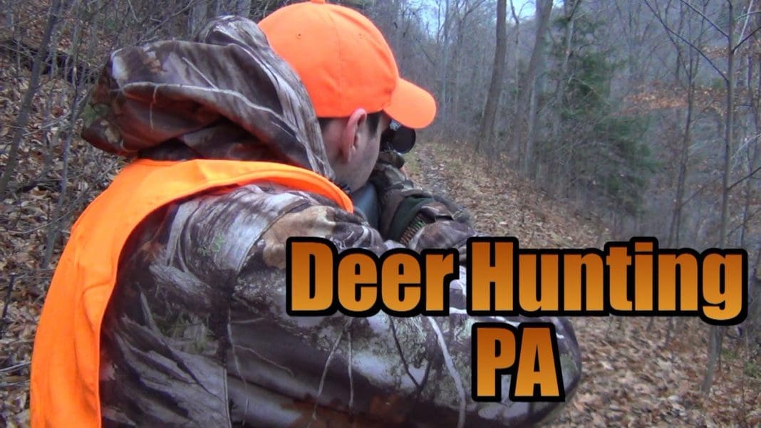 Rifle Deer Hunting Pennsylvania 2014 - Adam | Hunting Magazine