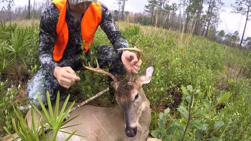 Green Swamp Deer Hunting | Hunting Magazine