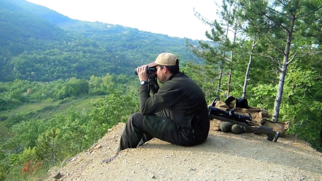 Roe deer hunting in May | Hunting Magazine