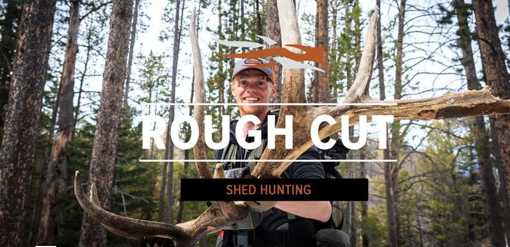 Hunting Video: Rough Cut - Shed Hunting | Hunting Magazine