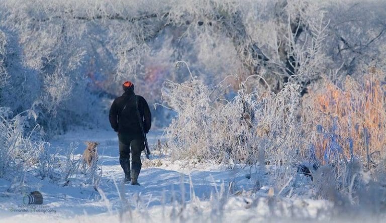 Hunting in The Snow in The Heart of Europe (Slovakia –Veľký Grob ...