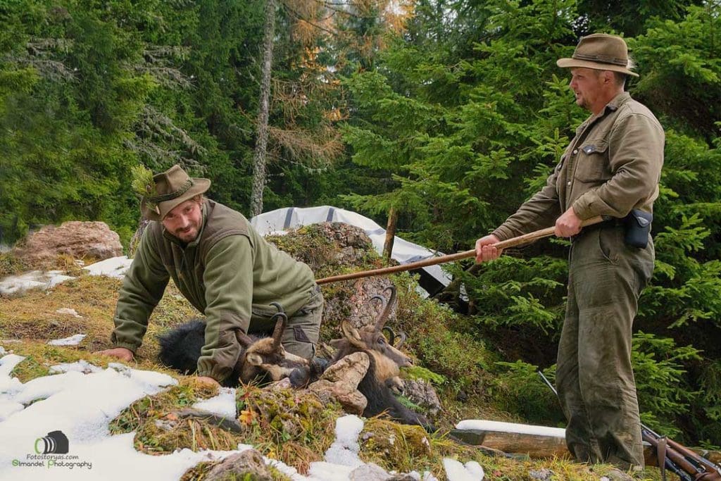 Hunting Chamois On The Roof Of The Mountains | Hunting Magazine