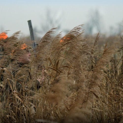 Hunting Day in Slovakia | Hunting Magazine