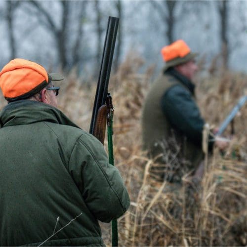 Hunting Day in Slovakia | Hunting Magazine