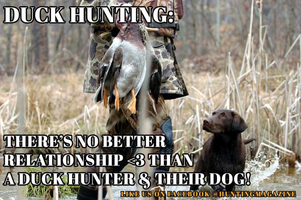 Hunting Meme: A Duck Hunter and Their Hunting Dog | Hunting Magazine