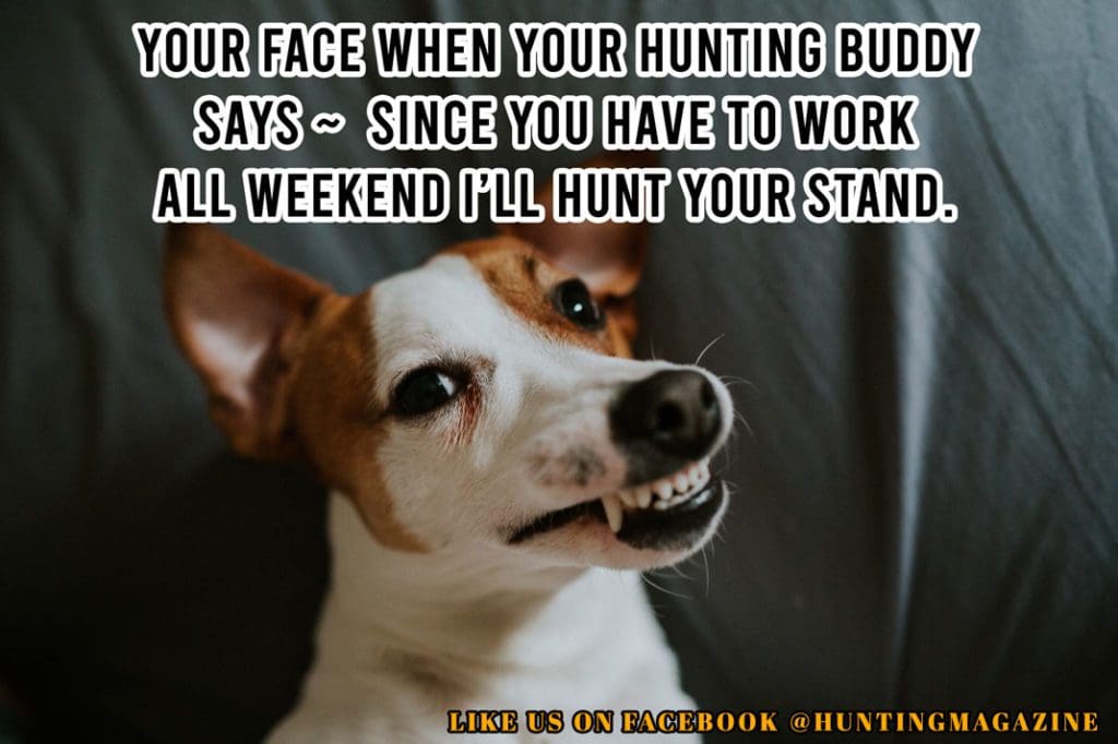 Funny Hunting Meme: Your face when your hunting buddy says ...