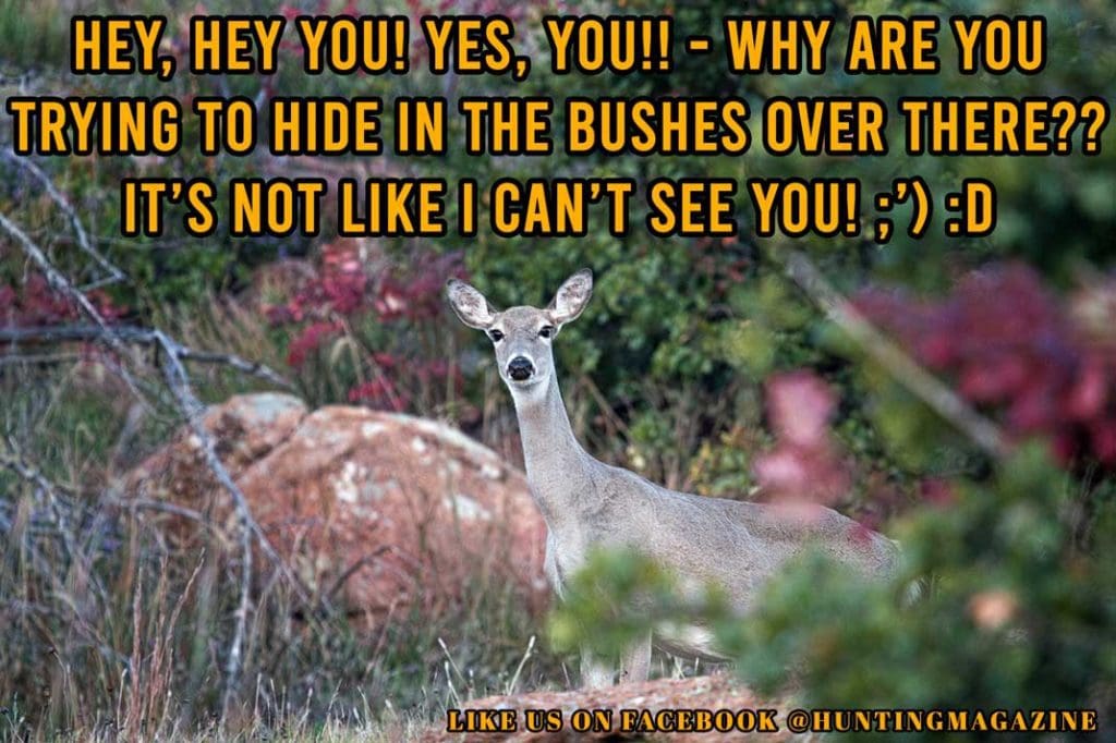 Hunting Meme: Why are you trying to hide in the bushes over there ...