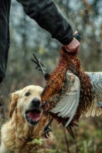 Photo Story: The Partridge Hunt in Lepsény, Hungary | Hunting Magazine
