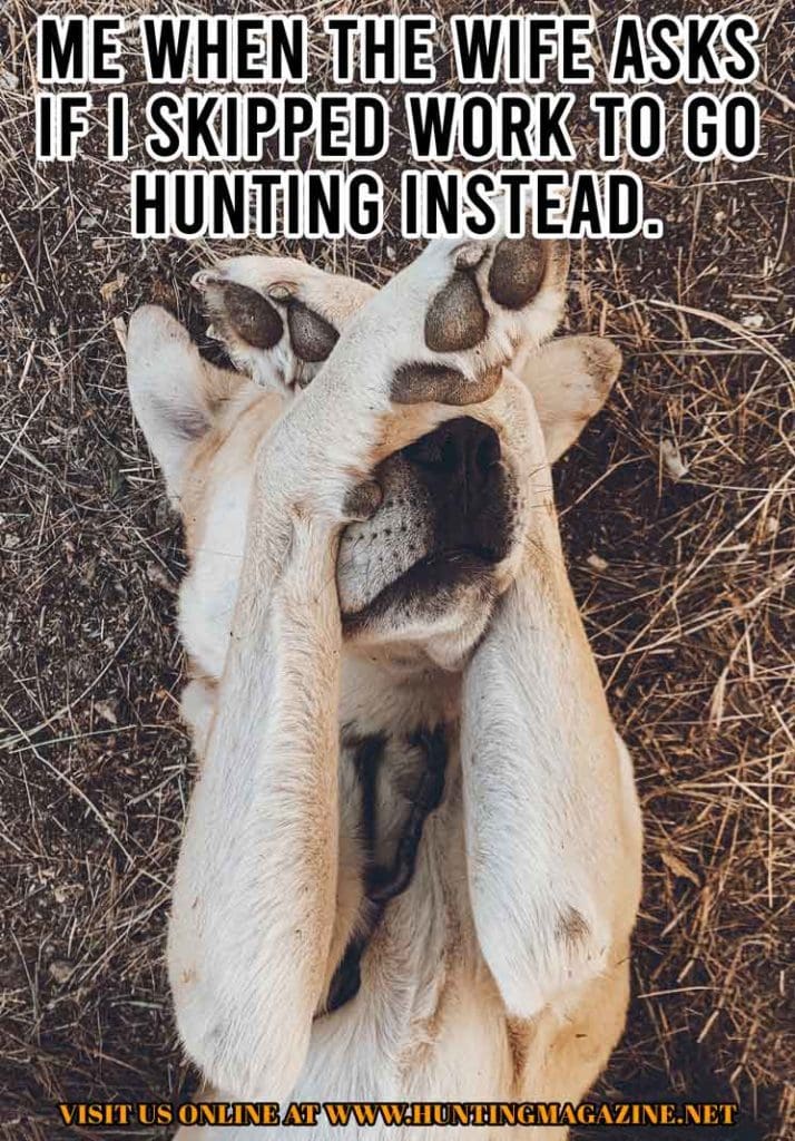 Hunting Meme: Me When The Wife Asks If I Skipped Work to go Hunting ...