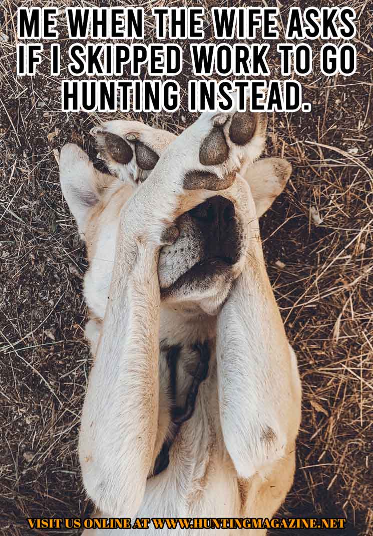 Hunting Memes