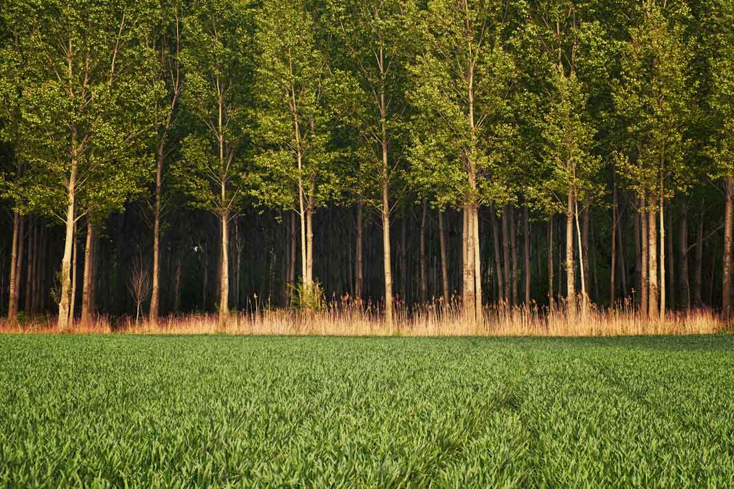 7 Best Deer Hunting States for Trophy Class Whitetails | Hunting Magazine