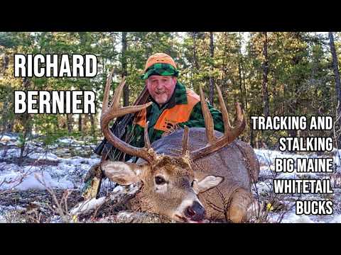 249 RICHARD BERNIER - Tracking and Stalking Big Maine Whitetail Bucks ...