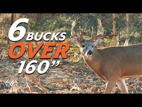 6 Bucks Over 160" | Hunting Whitetail Deer | Monster Buck Moments ...