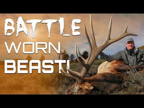 MONSTER ELK Rifle HUNTING Late Season Montana Elk Hunting | Hunting ...