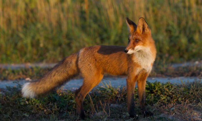 Top 7 Reason: Why Hunting is Good | Hunting Magazine