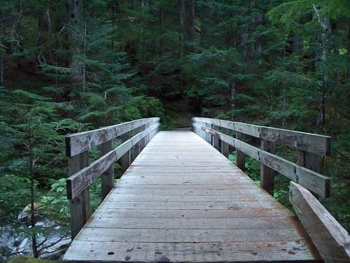 Canyon Creek Bridge | Deer on Trail Camera | Hunting Magazine