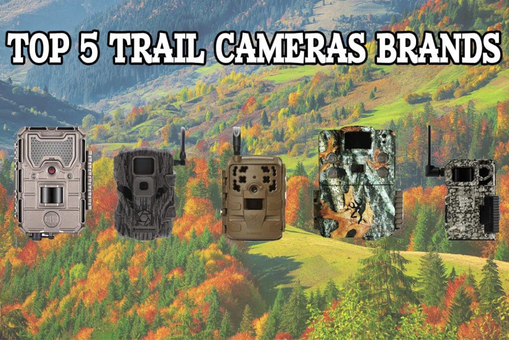 The Top 5 Trail Camera Brands for Hunting | Hunting Magazine