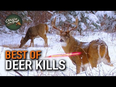 25 Deer Shots Under 15 Minutes! (ULTIMATE Deer Hunting Compilation ...