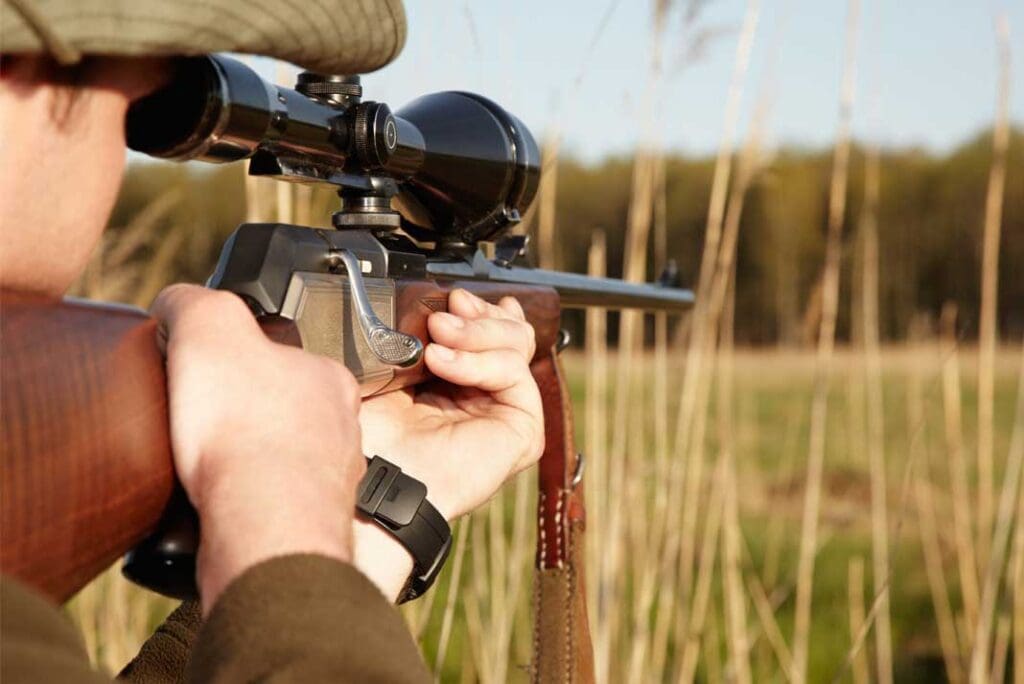 Finding the Perfect Hunting Rifle for Beginners | Hunting Magazine