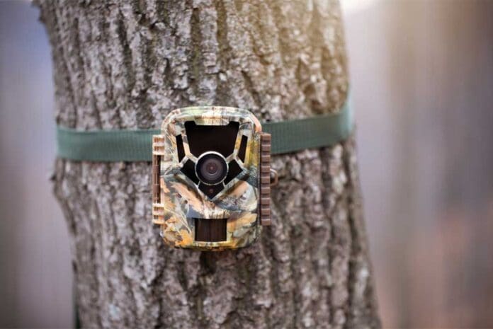 The Comprehensive Guide to Setting Up Your Trail Camera | Hunting Magazine
