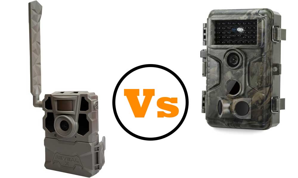 Cellular or Non-cellular Trail Camera: Which Should I Get For Deer ...